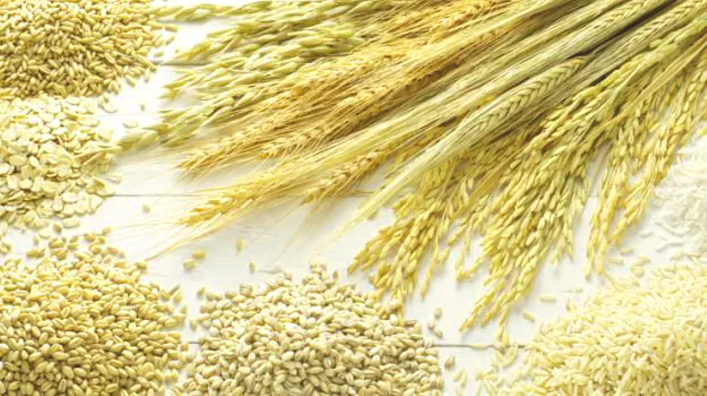Unveiling the Secret Health Benefits of Whole Grains for a Better ...